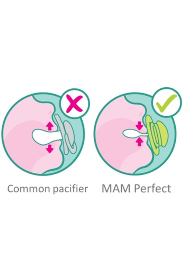 MAM Perfect Pacifier (16+months) Boy Gloss - Awesome Baby