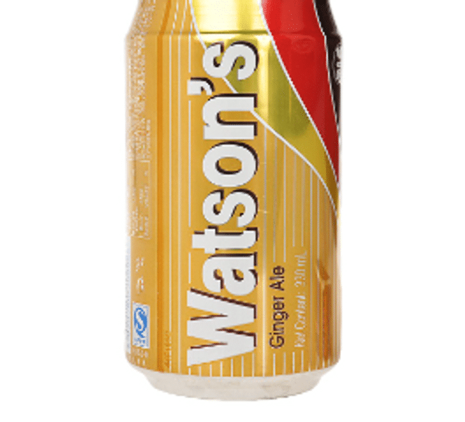 Watson's Ginger Ale - Carousel Corner