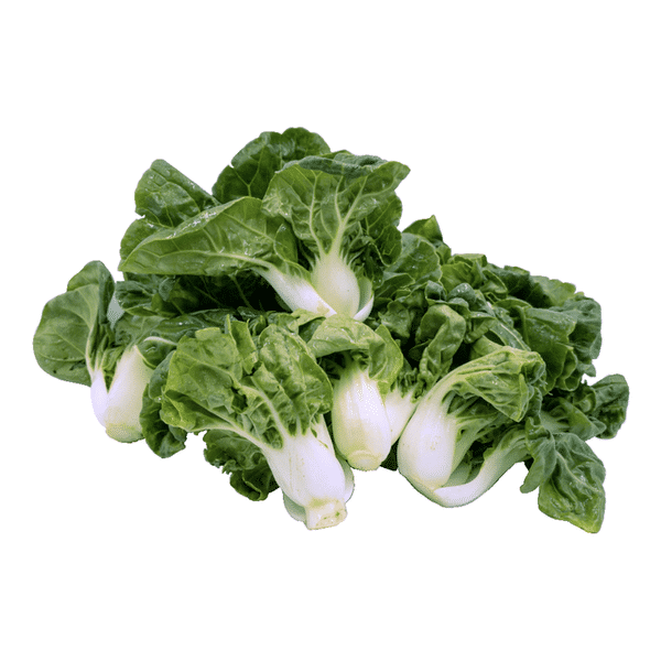 Nai Pak Choy 奶白菜 (450g) - e-Petani Malaysia