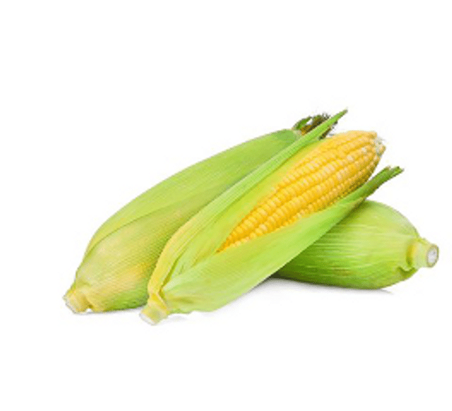 Jagung Ipoh Sweet Corn玉蜀黍 [Pack of 4] - e-Petani Malaysia