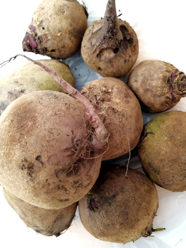 Beetroot 2kg - e-Petani Malaysia