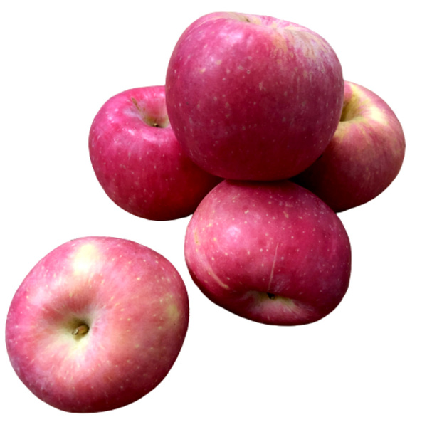 Fuji Apple Red M / Epal Merah 20pcs - e-Petani Malaysia