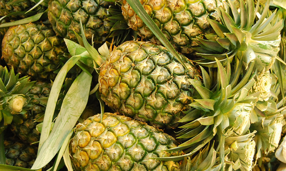 Premium Pineapple MD2 5kg - e-Petani Malaysia