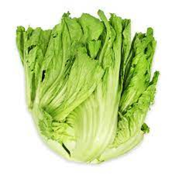 Kai Choy / Mustard Vegetable 1kg - e-Petani Malaysia