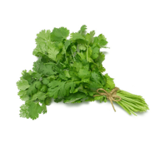 Cilantro / Wansuy (100g) - EarthOrigins