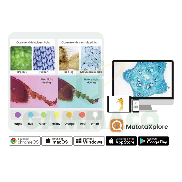 Digital Microscope MX2-AS with stand - NSM Science Shop