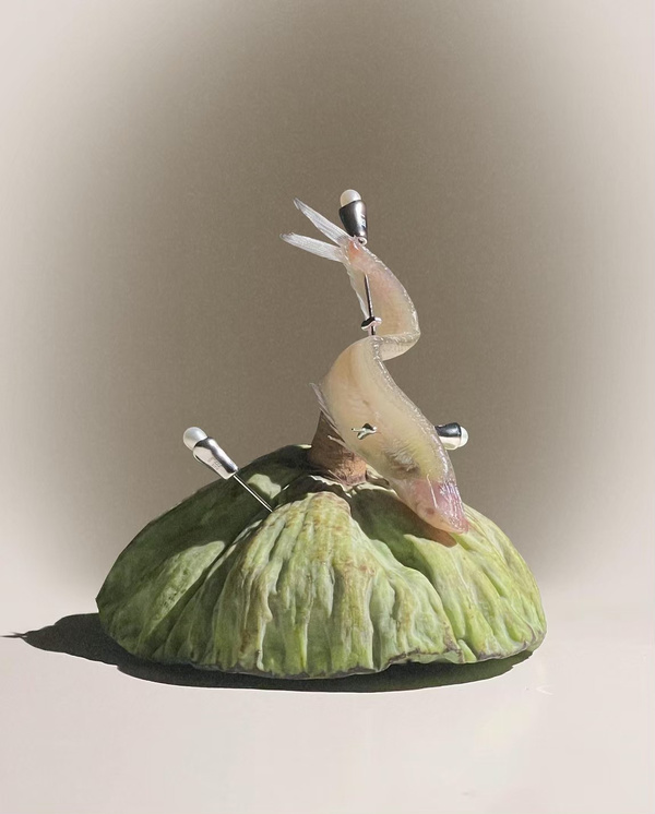 MORMORMOR - Spore Bar - Pearl /piece - H I D E