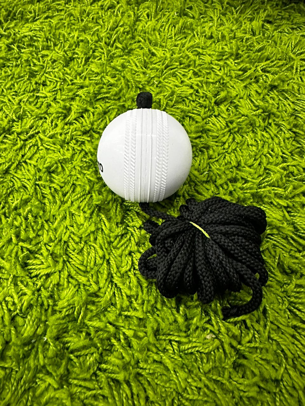 Maestro Hanging Ball - Std Size - Maestro Sports