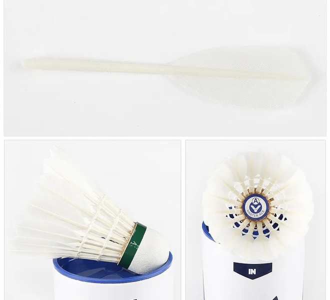 MASTER ACE - MM Badminton Shop