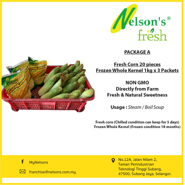 Package 1 - Nelson's Online Store