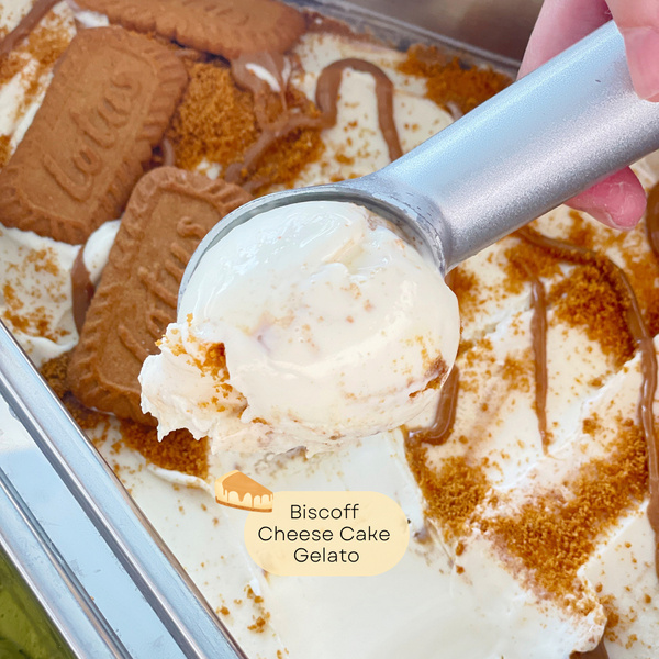 Biscoff Cheesecake Gelato (400g) - Nica Gelateria
