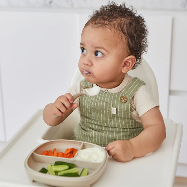 b.box 2-in-1 Suction Plate - ParenThing