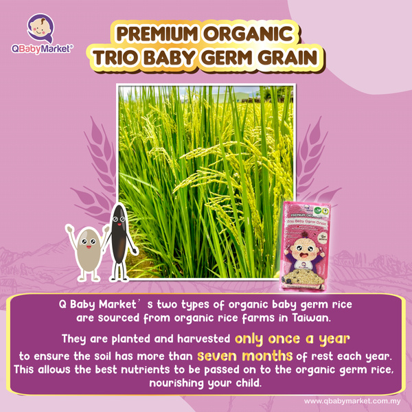 Premium Organic Trio Baby Germ Rice - Q Baby Market