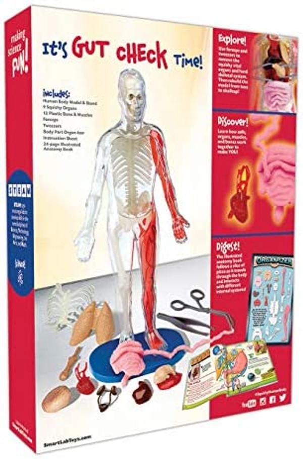 SmartLab Toys Squishy Human Body - Rooke&Reese