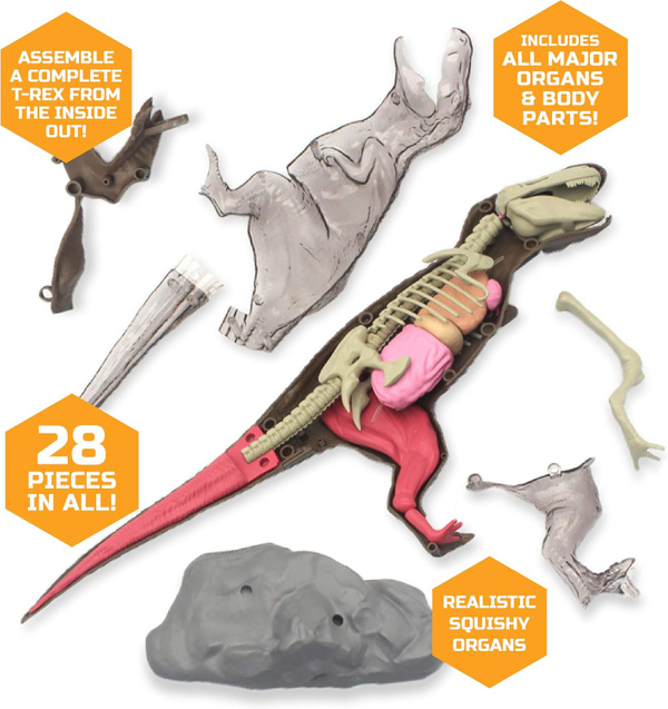 Discovery Mindblown 4D T-Rex Anatomy Kit - Rooke&Reese
