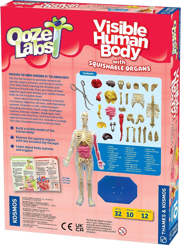 Thames & Kosmos Ooze Labs: Visible Human Body with Squishable Organs ...