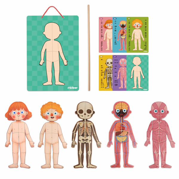 Mideer Body Magnet - Rooke&Reese