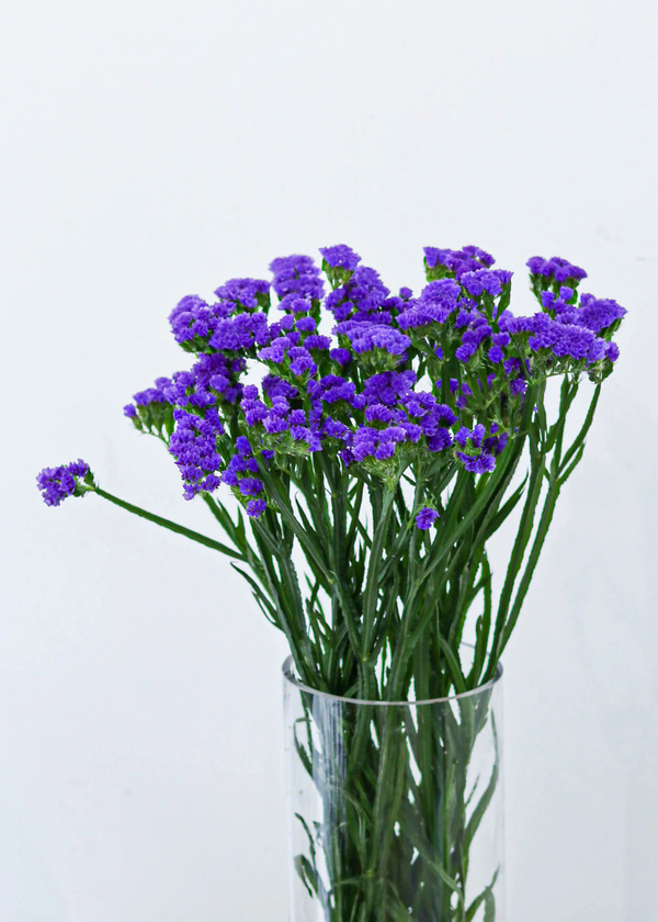 STATIS - Sharna's Floral & Gifts