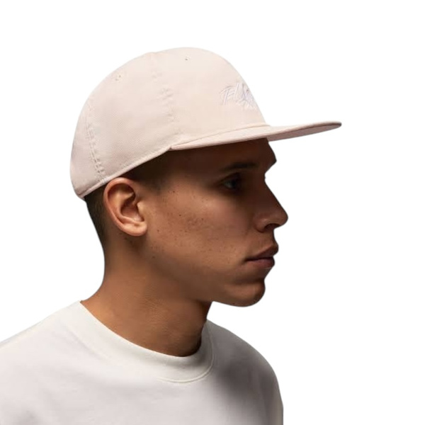 AIR Jordan Pro Unstructured Flat Bill Hat Legend LT Brown (FV5300 203 ...