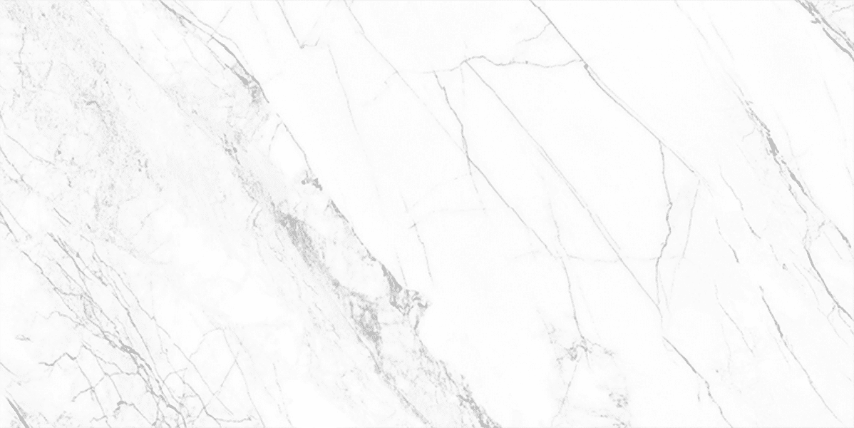 Carrara Silver Polished 60x120 / 10mm - SSE
